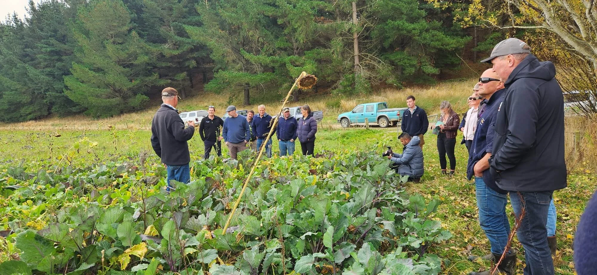 Avalon Farm Organic Field Day Report — Organics Aotearoa New Zealand