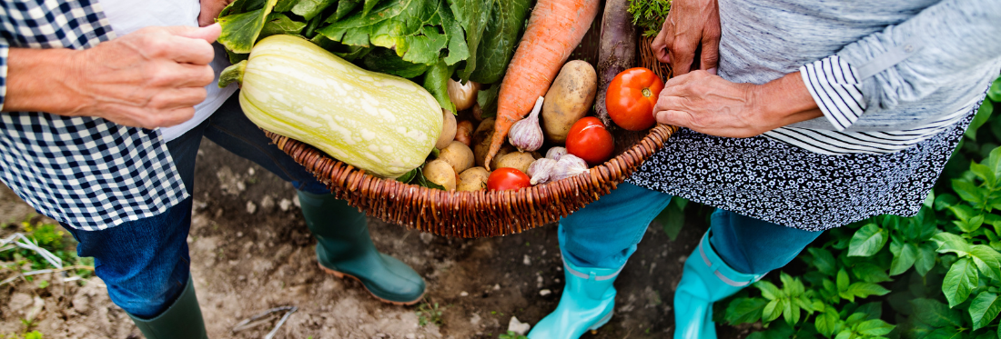 Increase consumer recognition of organics — Organics Aotearoa New Zealand