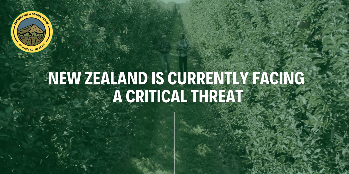 The Impact of GE Deregulation in NZ | Risks to Environment, Food ...