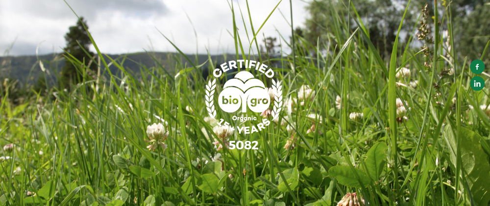 Meet Our Makers: Q&A with Chris Lees, Fertco — Organics Aotearoa New ...