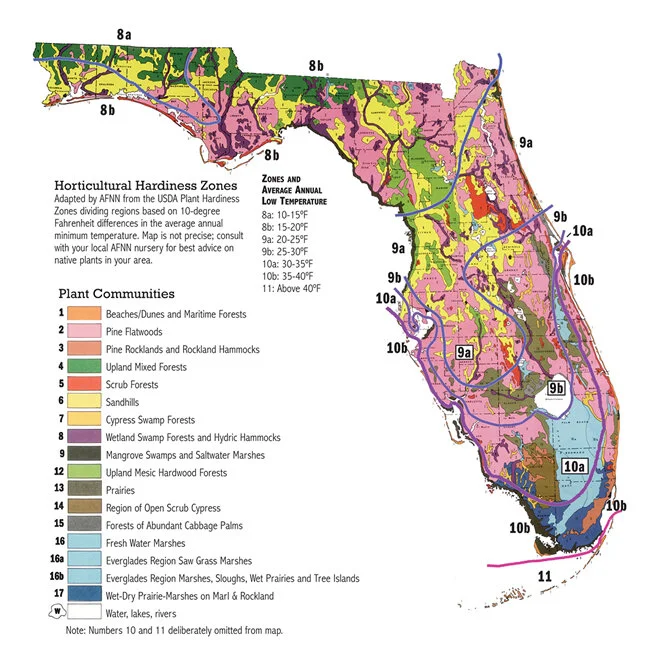 Exploring the Ecology of Florida — Nature Links for Lifelong Learning