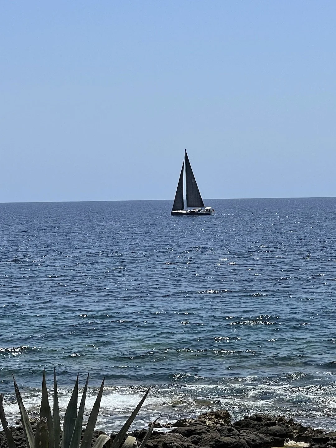 Menorca Schedule — ELIZA DAY-GREEN