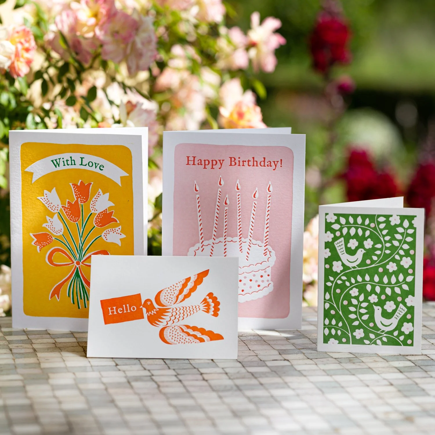 Portfolio — Ariana Martin