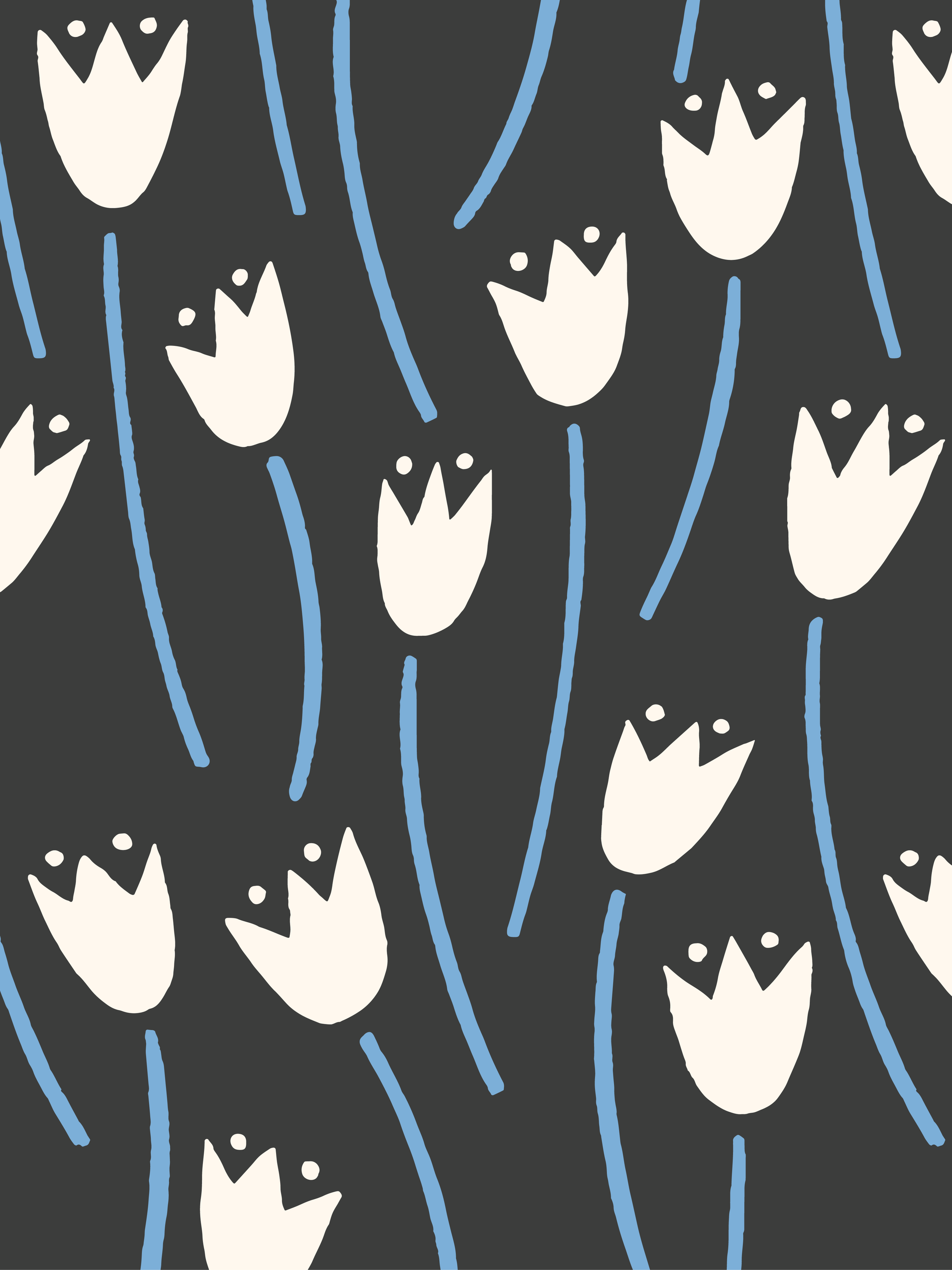 Patterns — Ariana Martin