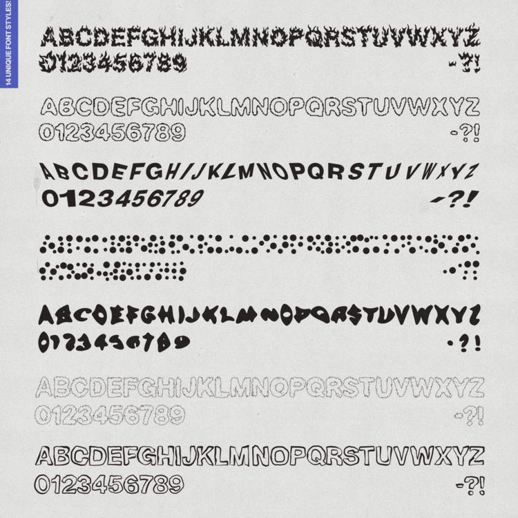 TYPEFACE BUNDLE — hvnter.net