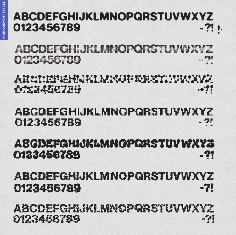 TYPEFACE BUNDLE — hvnter.net