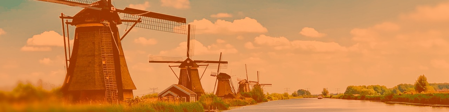 Online Dutch 4 Beginners Class (A0) starting soon!