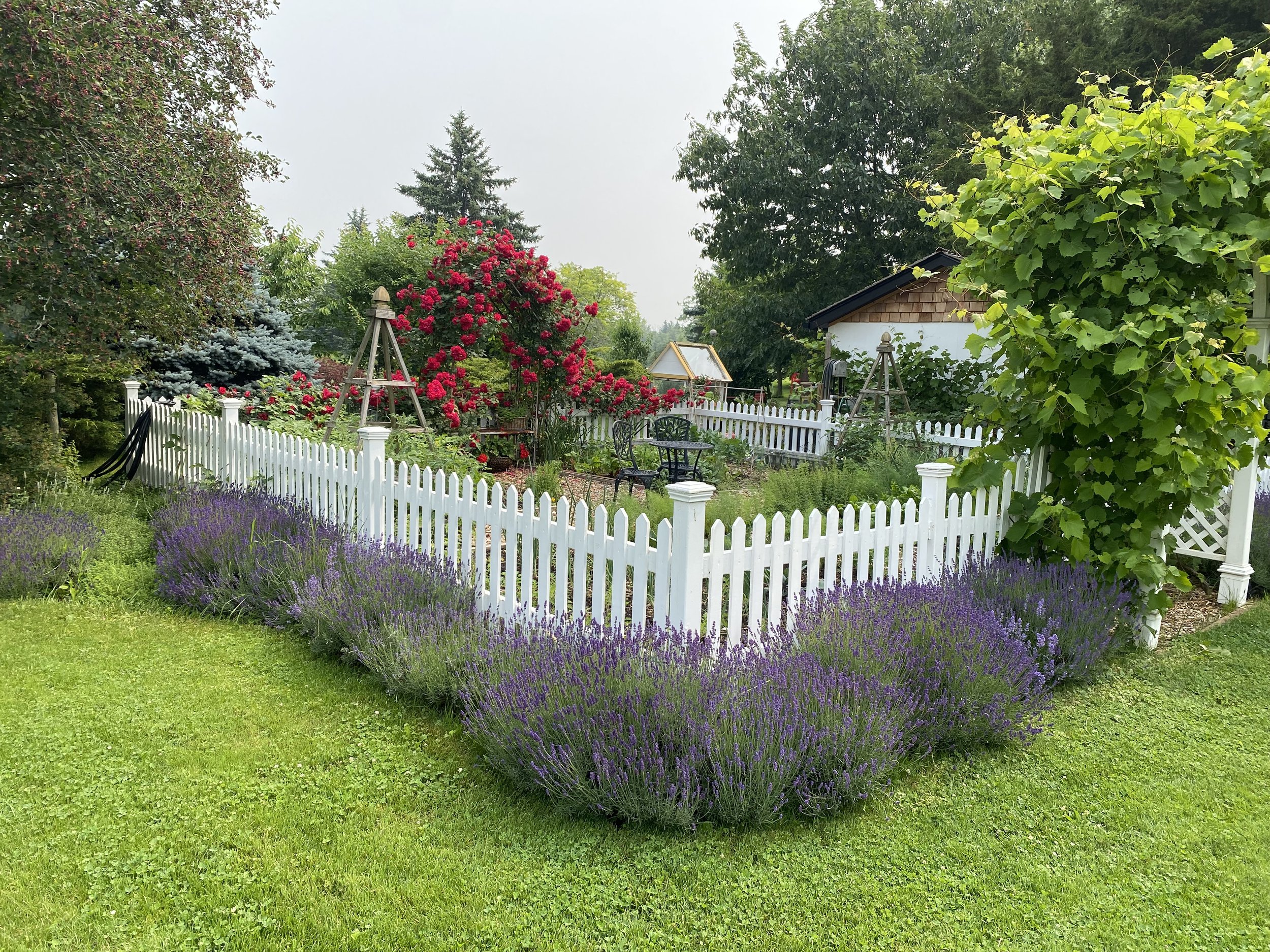Flower Bouquets and Lavender Distilling! — Rockway Farmhouse