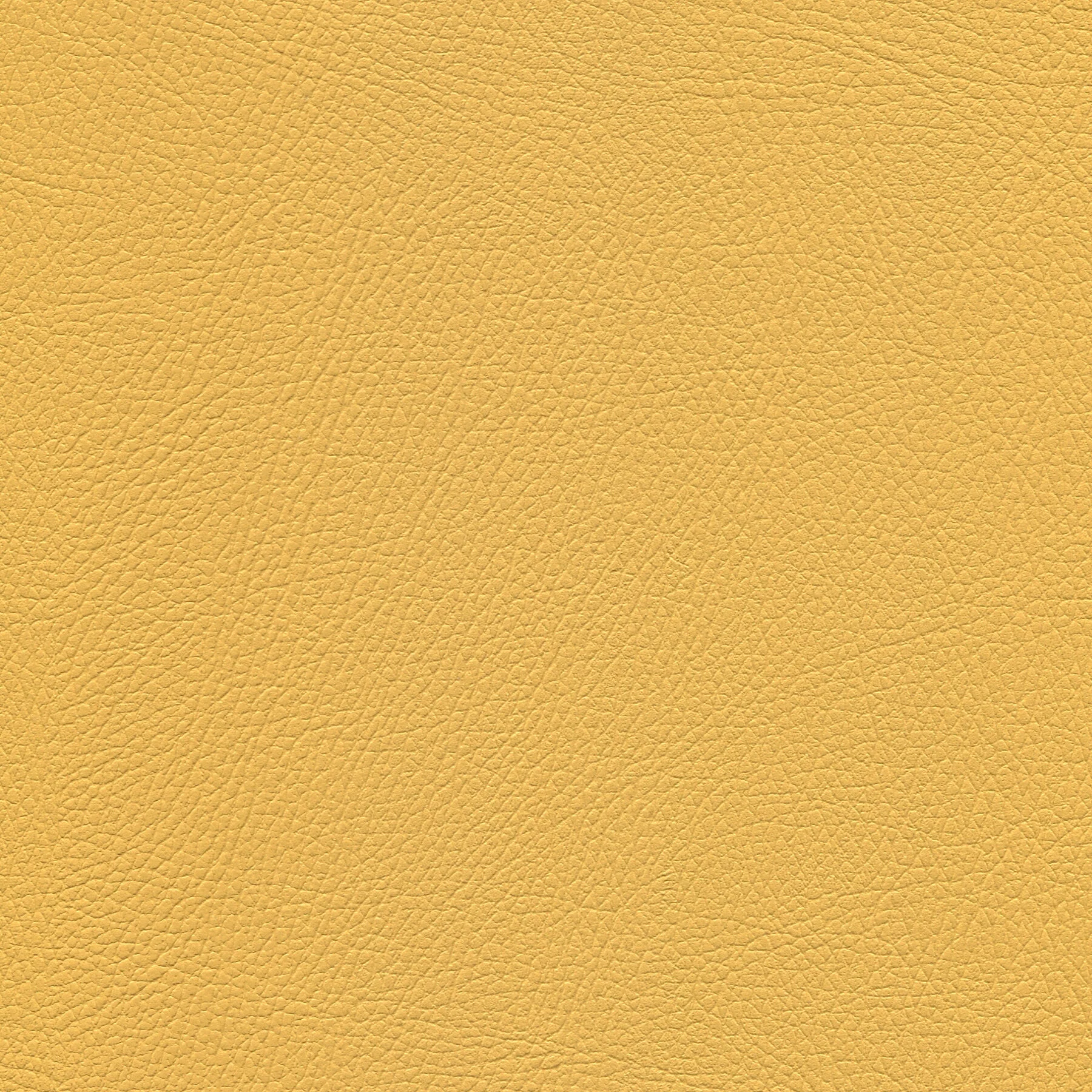 Not-Yo-Cheese — Enduratex