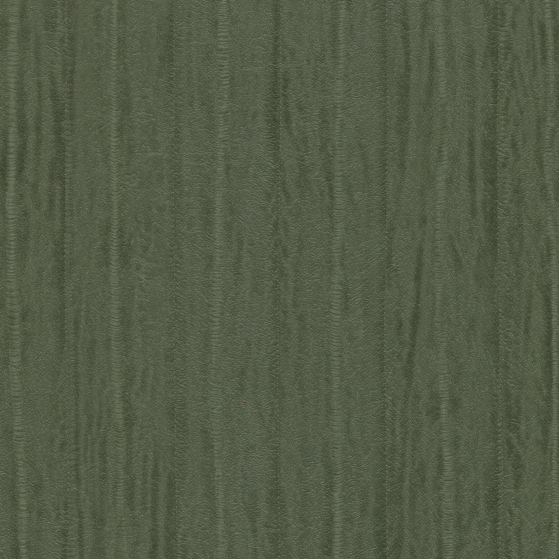 Kelp Forest — Enduratex