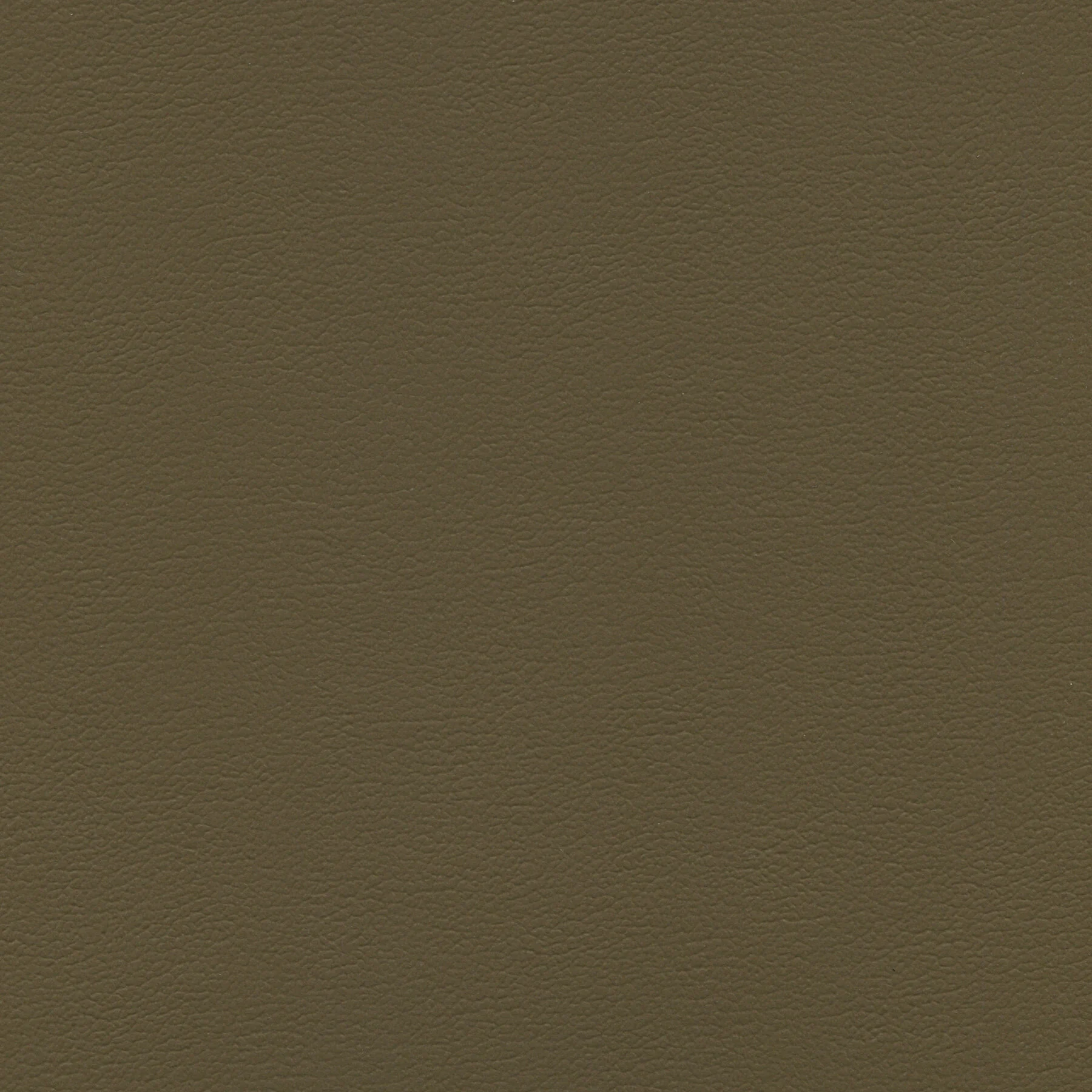 Bold Brew — Enduratex