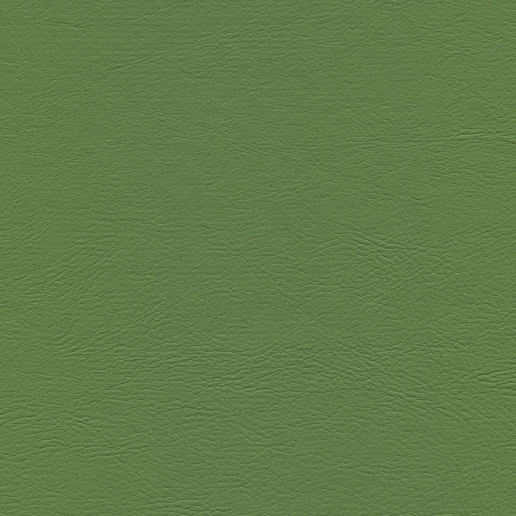 Olive Green — Enduratex