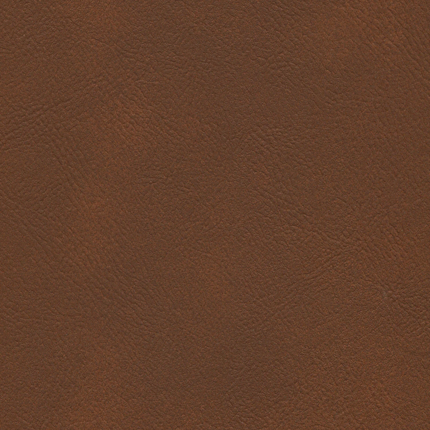 Saddle — Enduratex