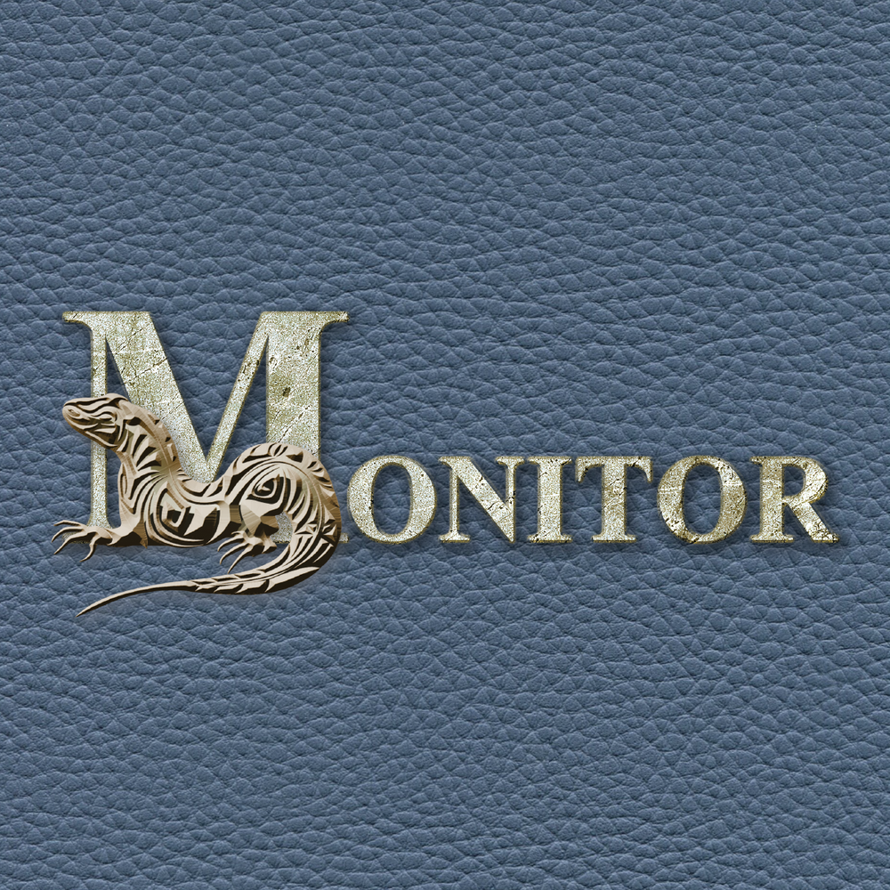 Monitor — Enduratex