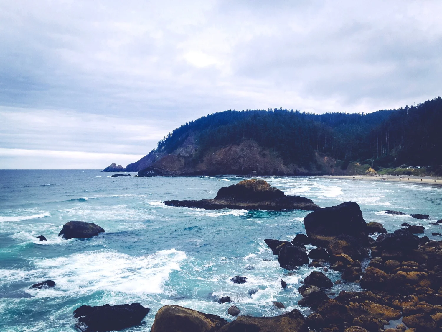 Things to Do — Nehalem Bay Winery