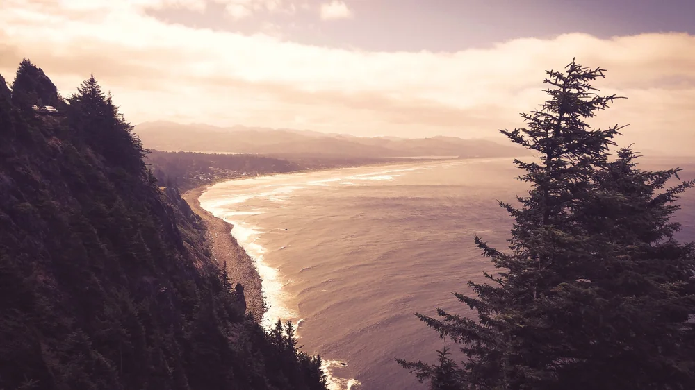 Things to Do — Nehalem Bay Winery