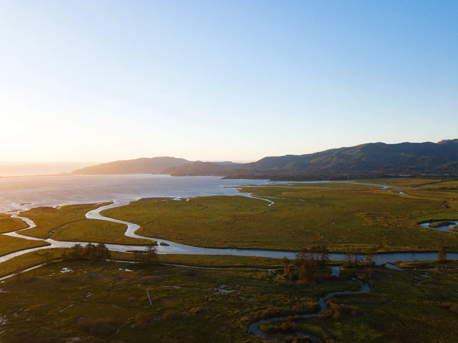 Story — Nehalem Bay Winery