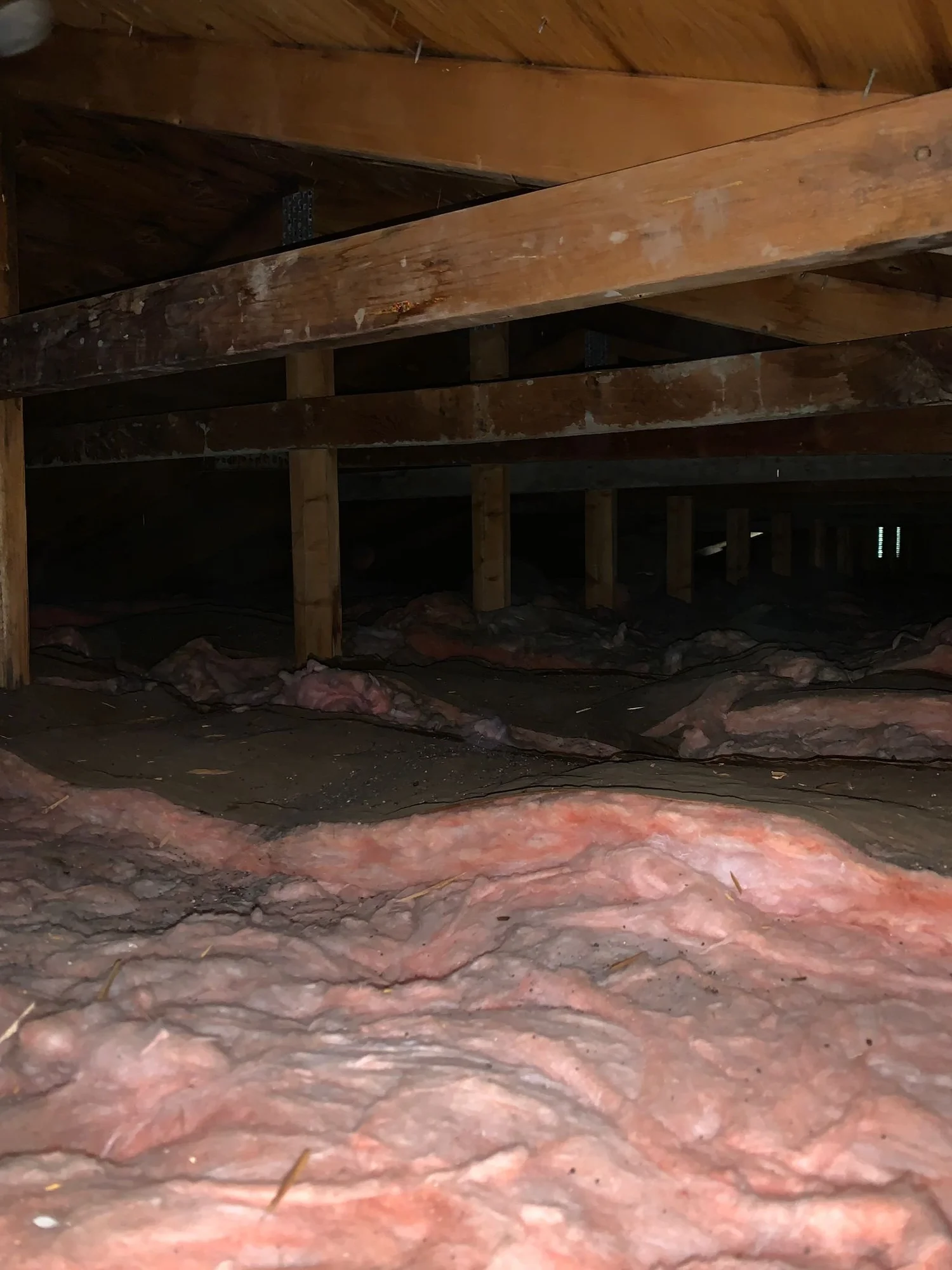 Insulation Removal In Winnipeg — Great Canadian Insulation