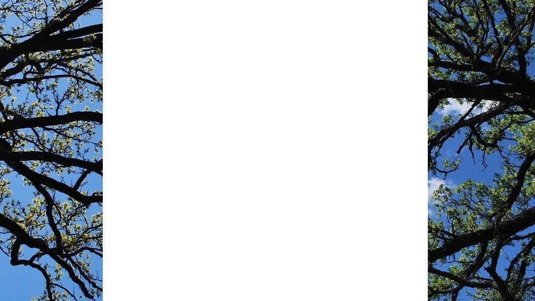 Columbia Canopy Project — Columbia Green