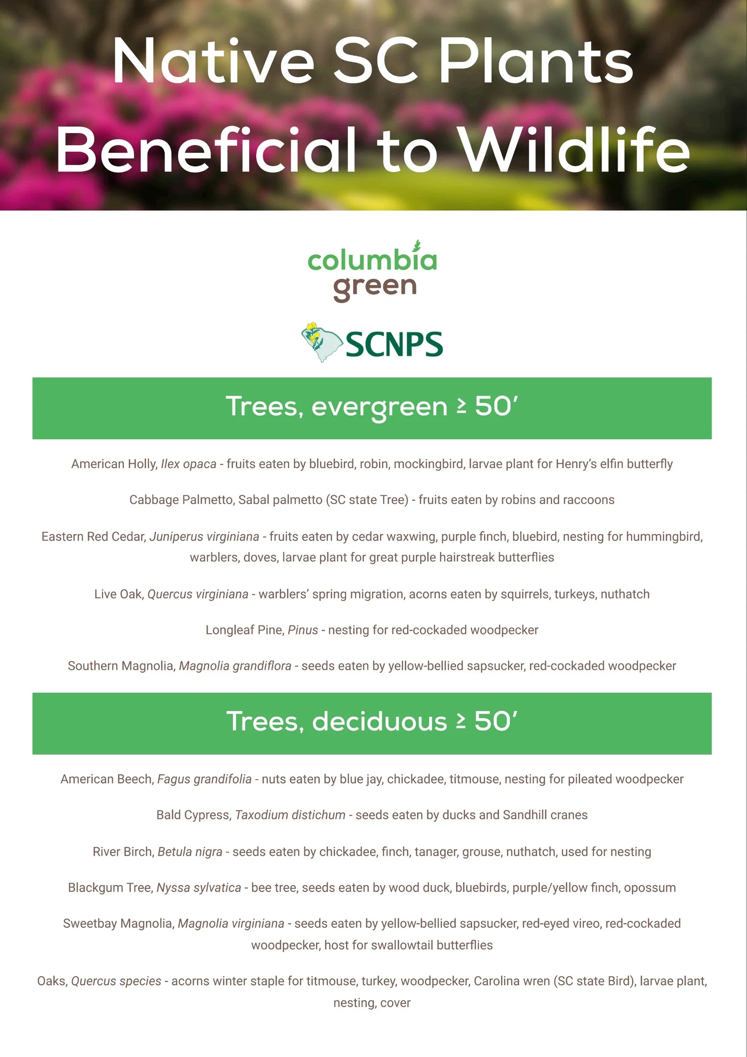 General 2 — Columbia Green