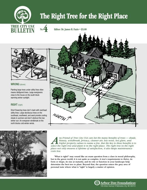 General 2 — Columbia Green