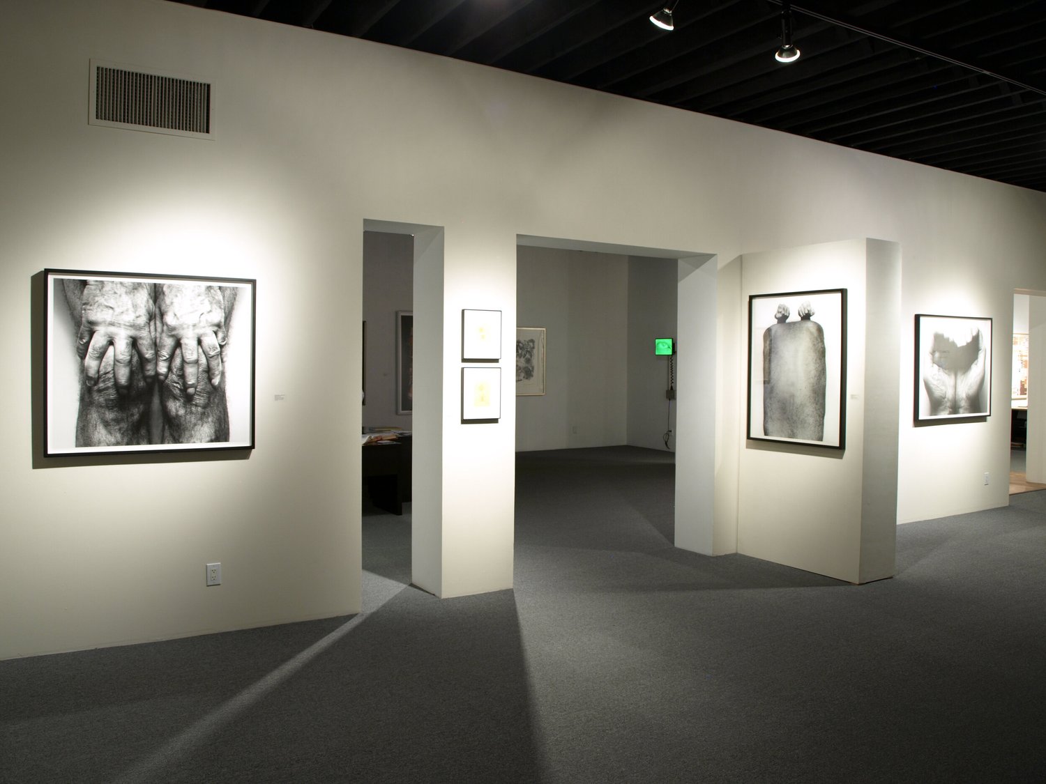 John Coplans — Solway Gallery