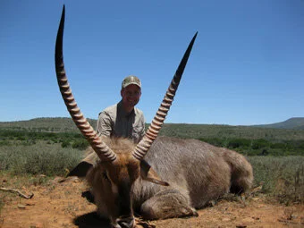 Common Waterbuck | Side by Side Safaris