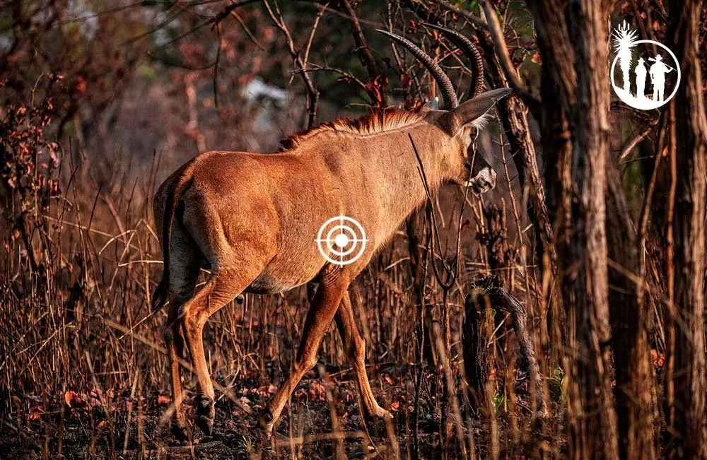 Southern Roan Hunting | Premium Safari | Side by Side Safaris