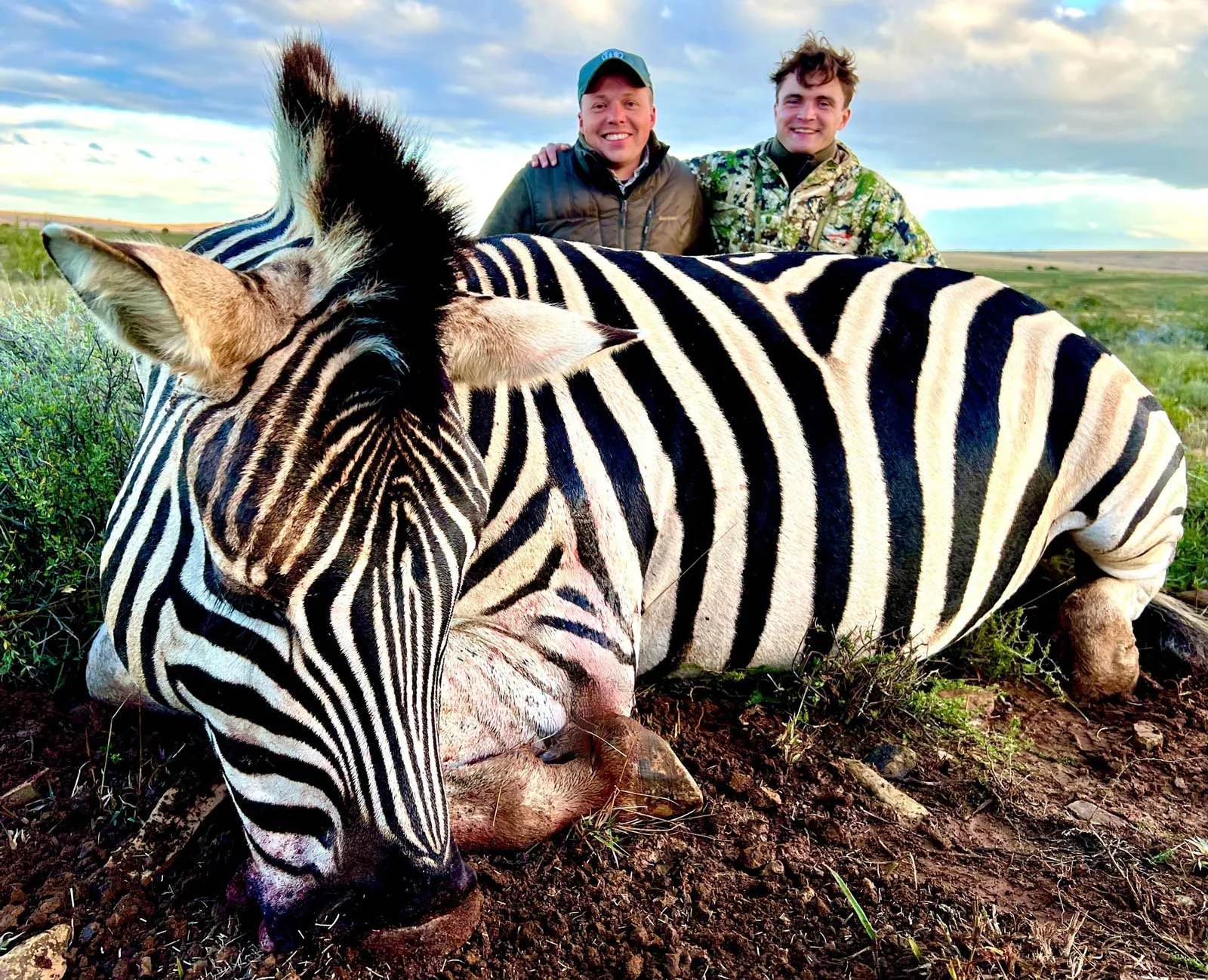 Burchell's Zebra | Side by Side Safaris | Side by Side Safaris