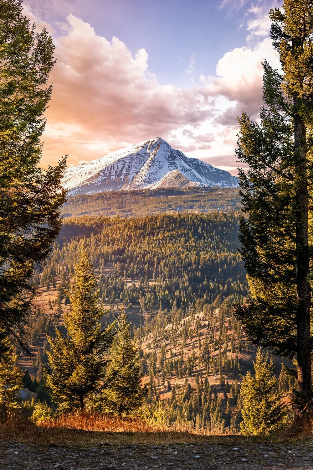 Lone Mountain Land Company