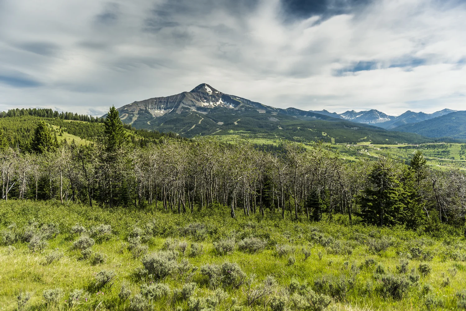 Kevin Germain — Lone Mountain Land Company