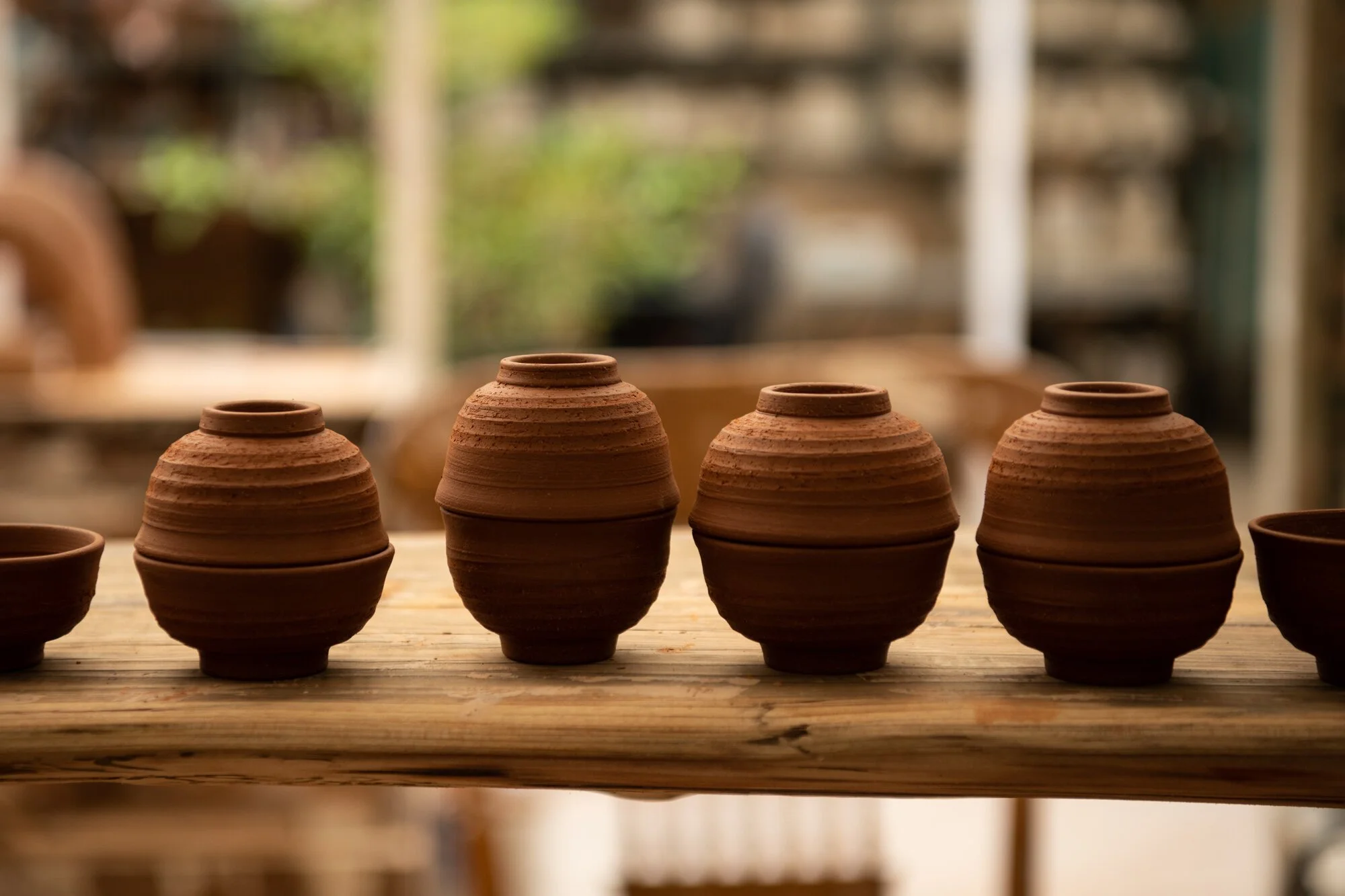 Membership Overview — Santa Cruz Clay