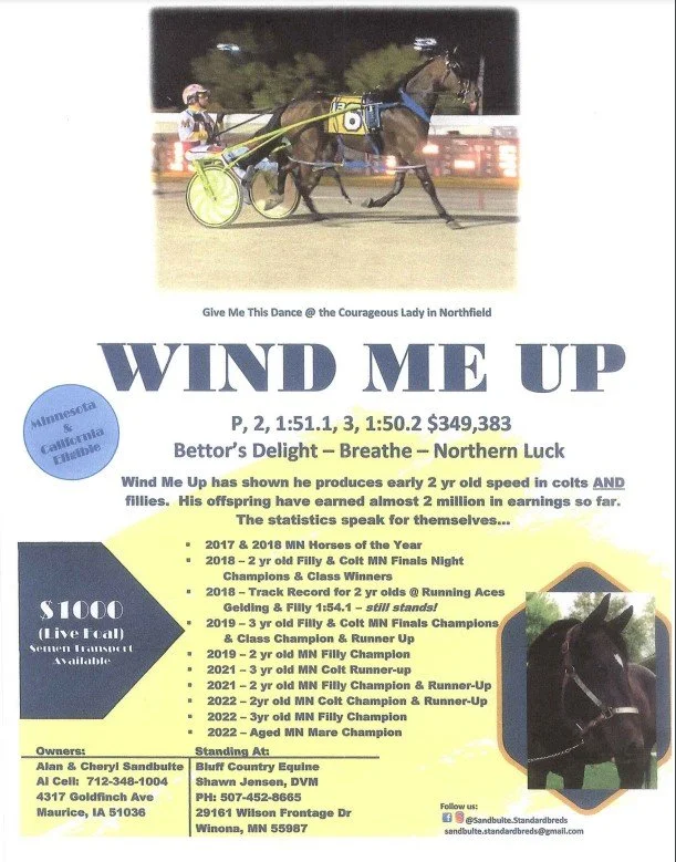 Wind Me Up — Bluff Country Equine