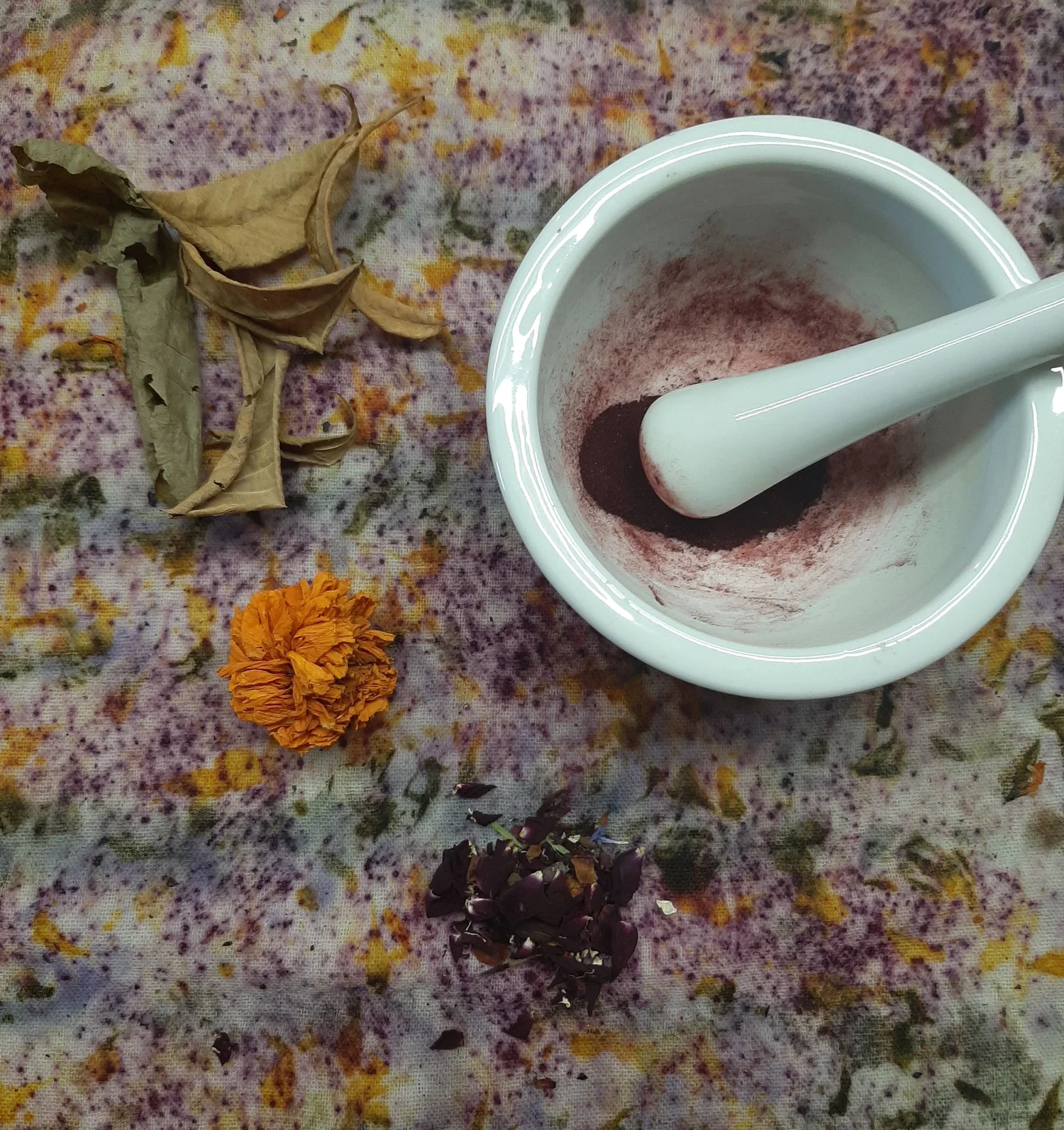 paige st-pierre fiber artist, natural dyer, educator