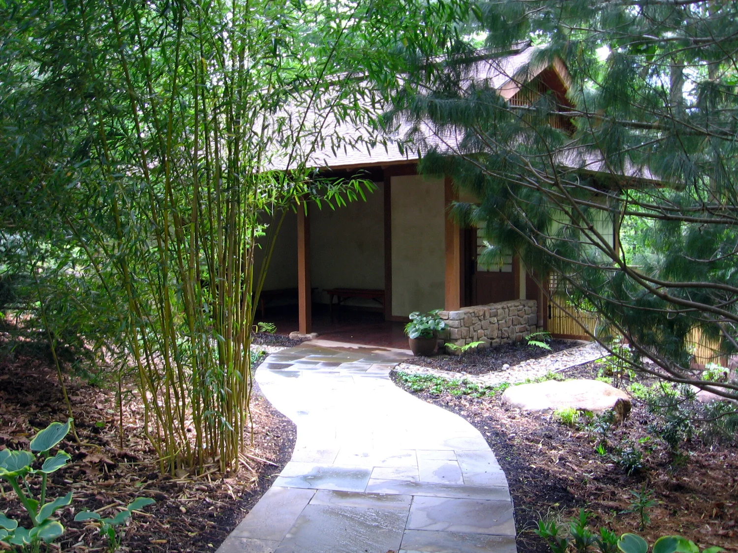 Asian Woods Pavilion — CICADA