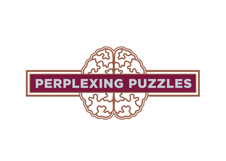 Perplexing Puzzles | Brand Identity Design — Bonfilio Design