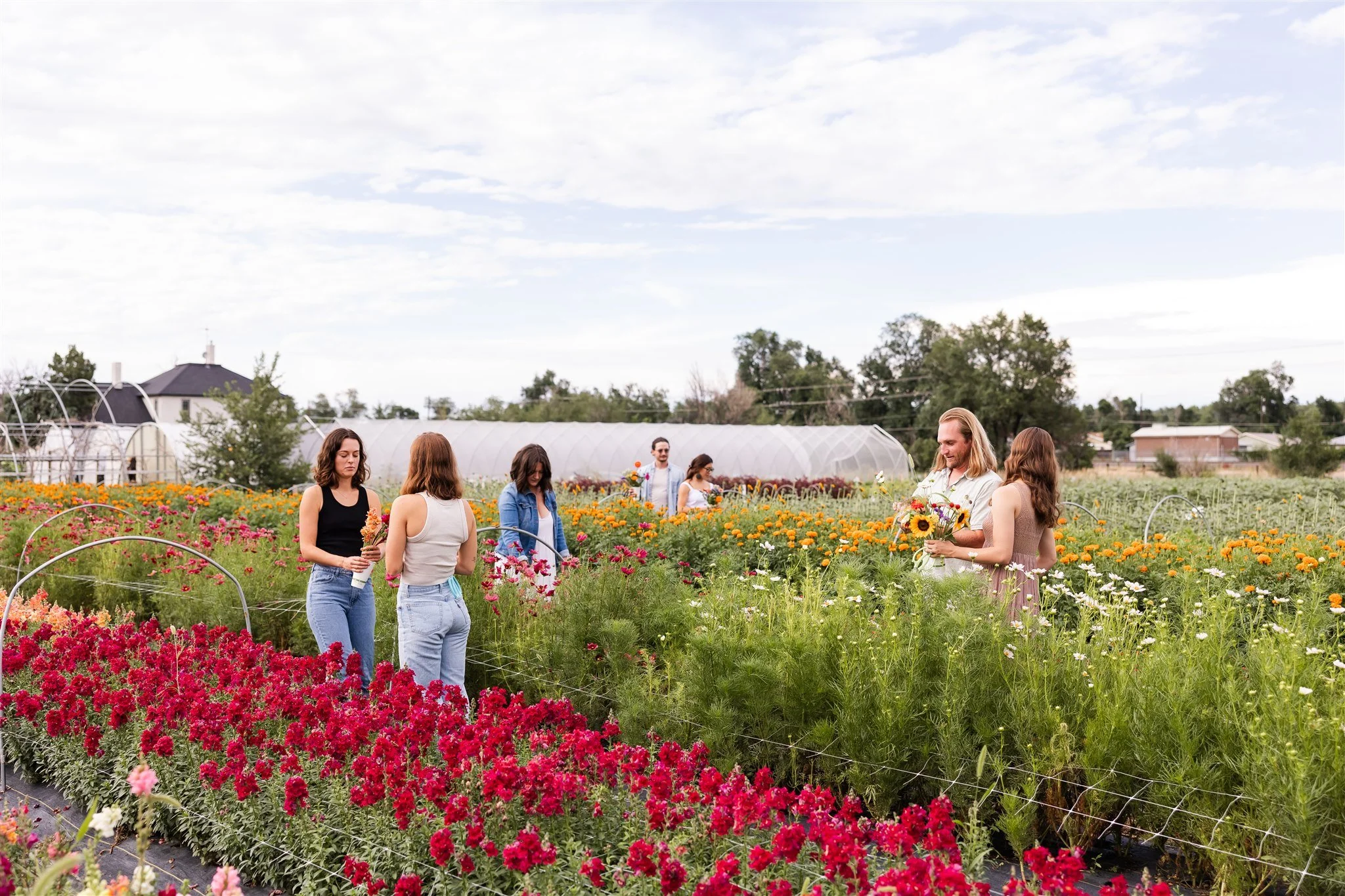 Venetucci Farm
