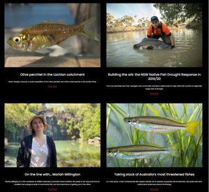 Australian Society for Fish Biology