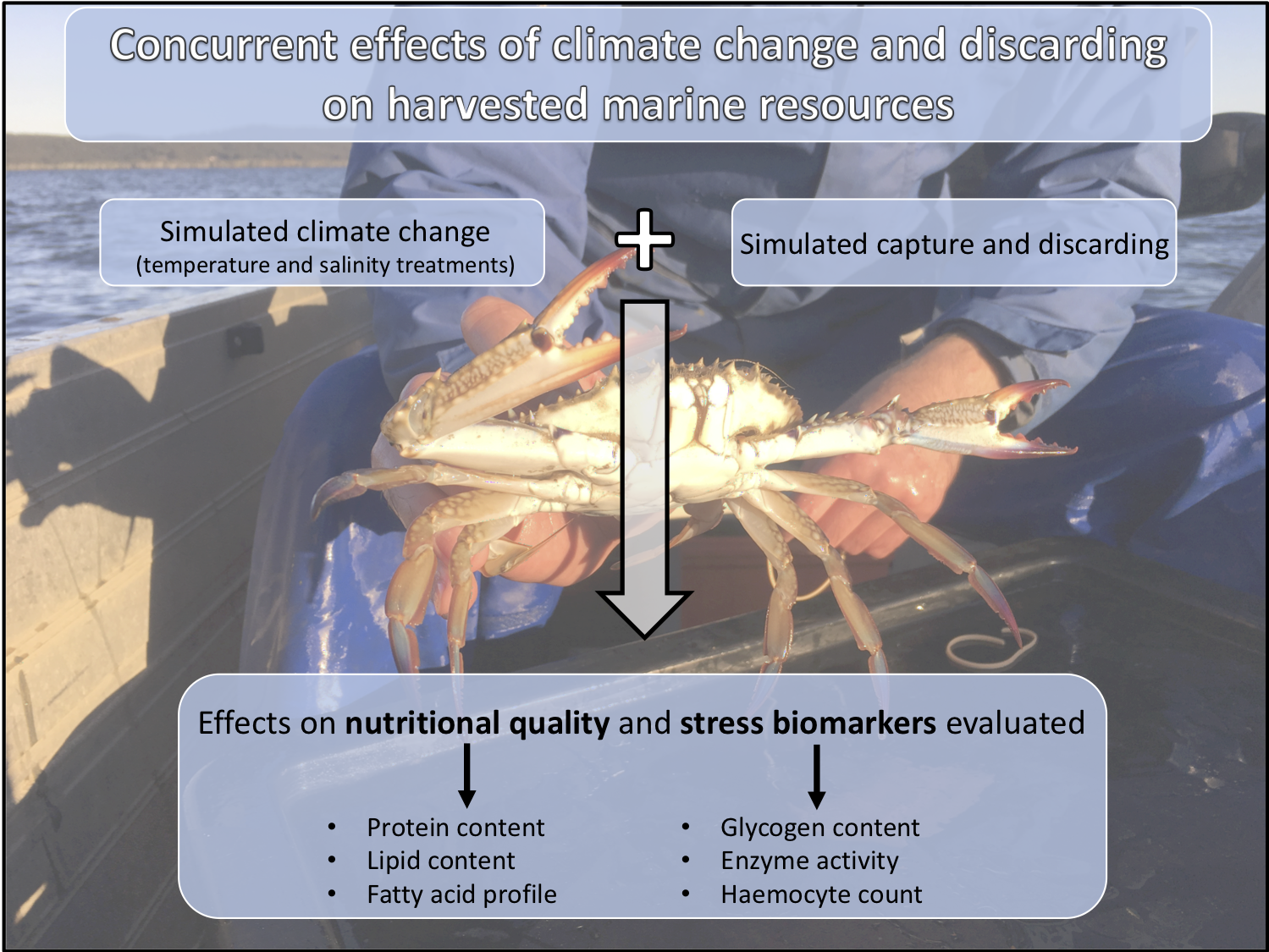 How climate change is affecting marine ecosystems — Australian Society ...