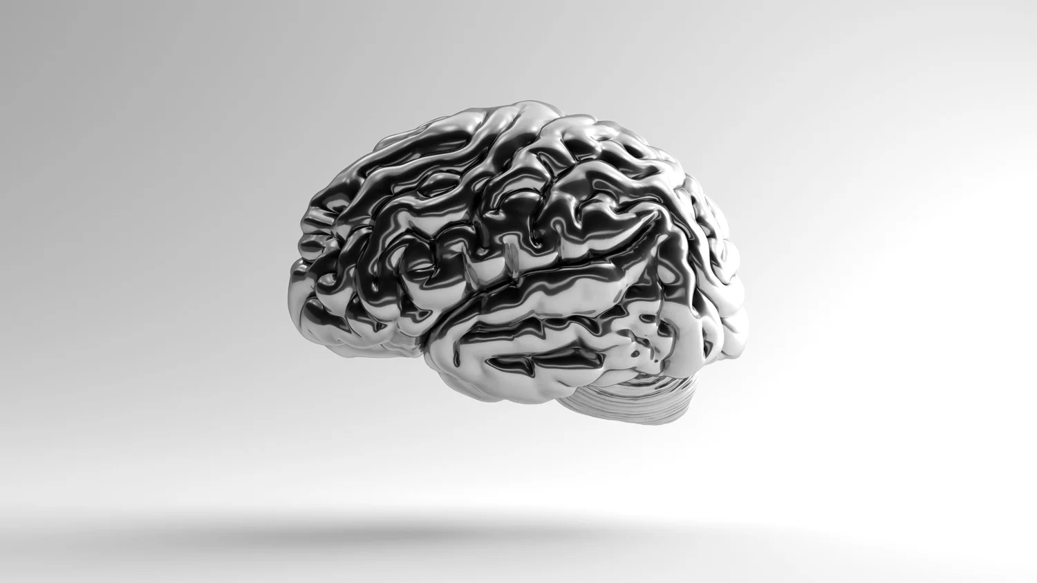 Articles: Biohacking, Longevity, etc — Kayla Barnes-Lentz