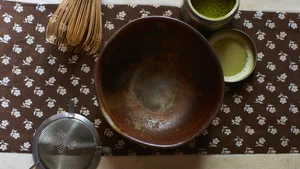 The Matcha Plant: How Matcha is Made (Quick Guide) — Ooika (覆い香)