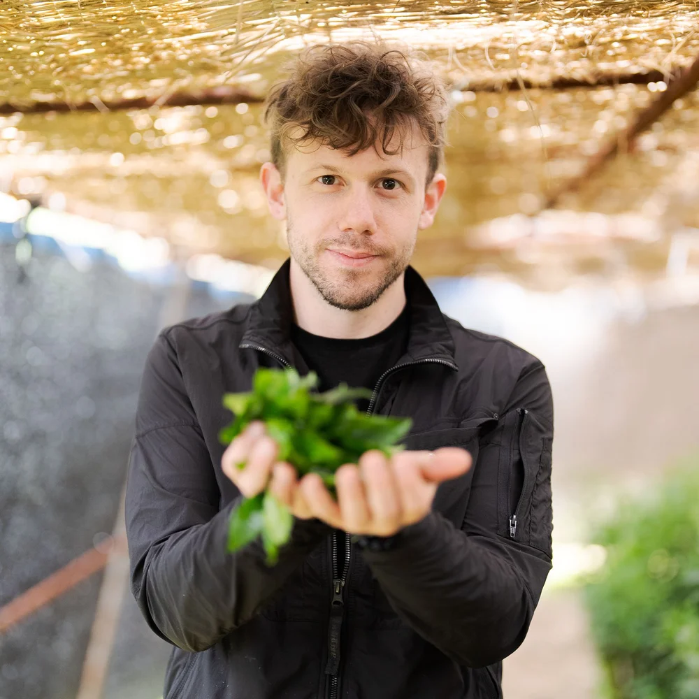 Shop Fresh-Ground Matcha & Tea — Ooika (覆い香)