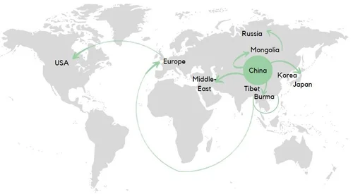 Which Country Invented Tea? — Ooika (覆い香)