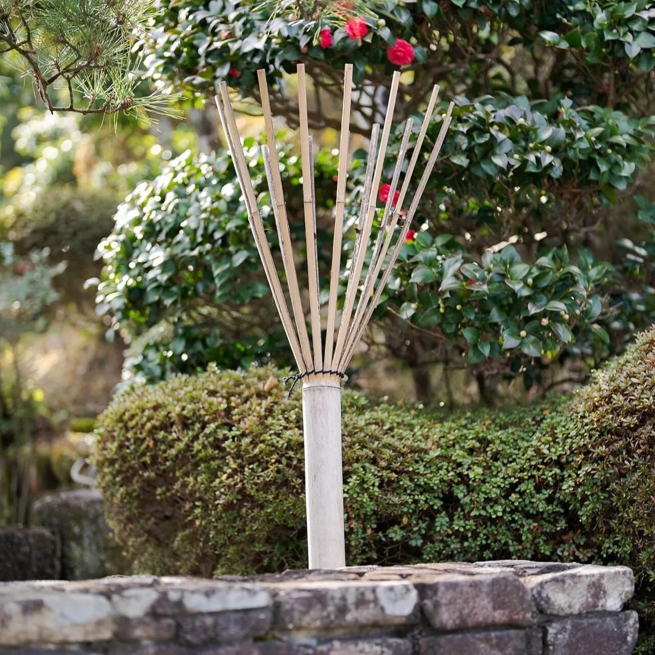Chikueido Practice Takayama Chasen (80 Tines 八十本立) — Ooika (覆い香)