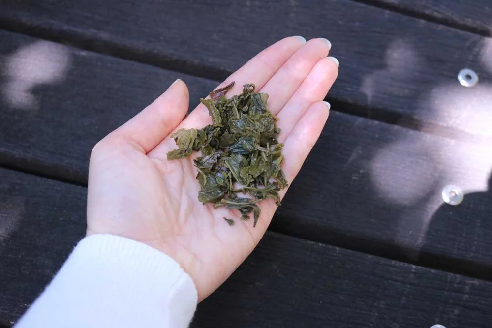 Who Invented Tea? — Ooika (覆い香)