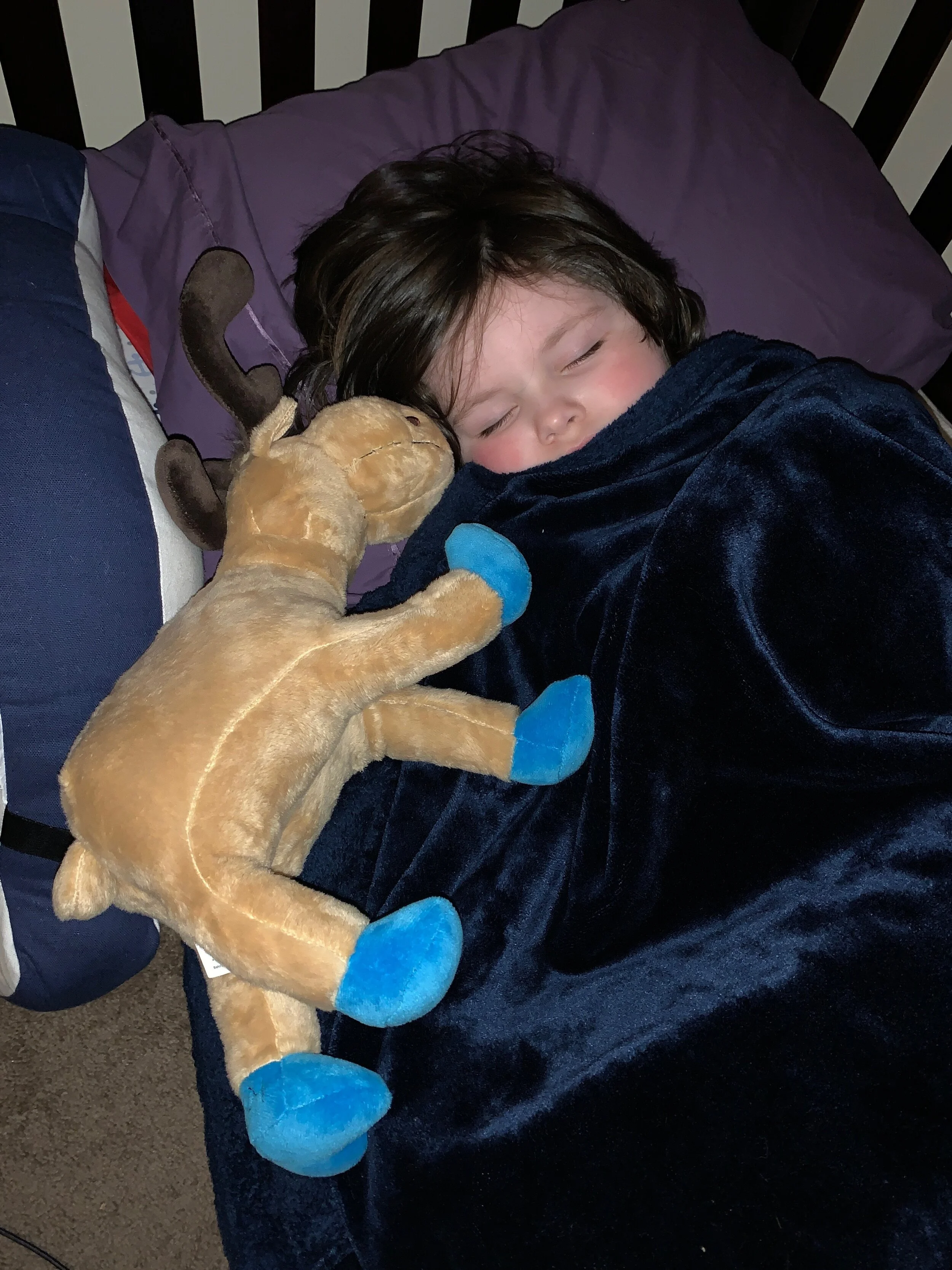 Gallery 3 — Marvelous Moosey Adventures