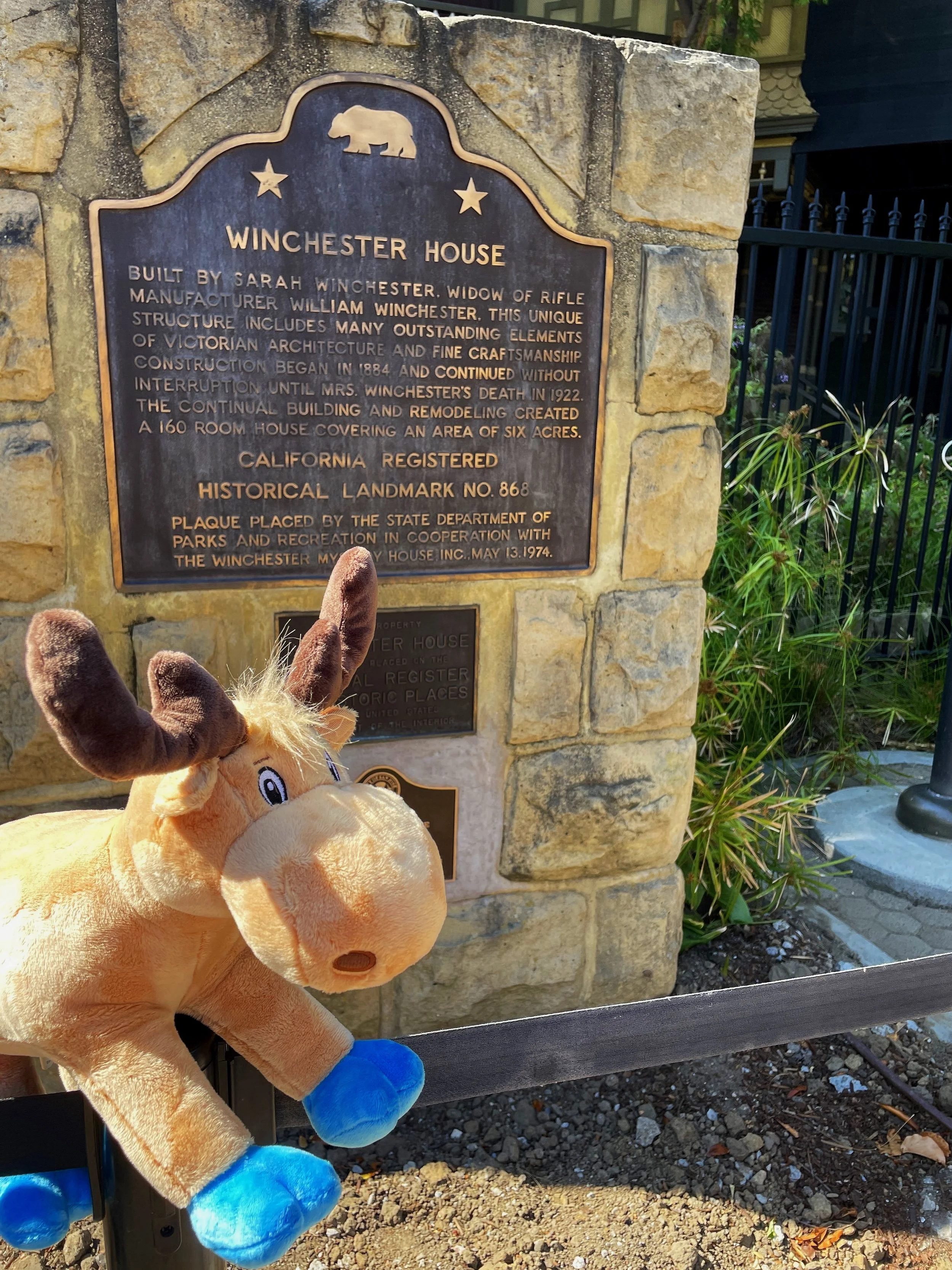 Gallery 3 — Marvelous Moosey Adventures