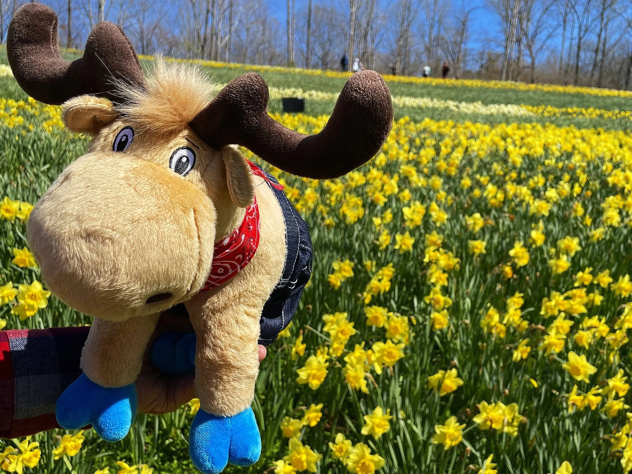 Marvelous Moosey: Plush & Book That Teach Kindness