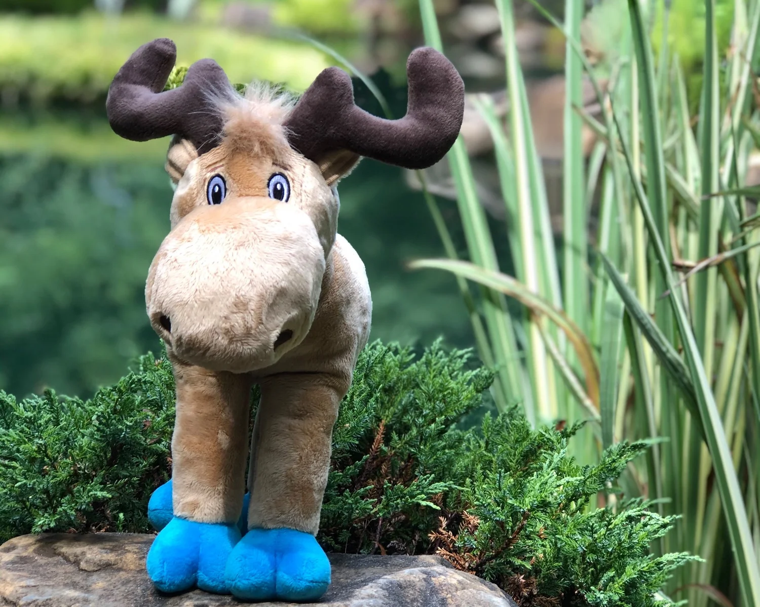 Unique Toys & Gifts That Teach Kindness — Marvelous Moosey Adventures