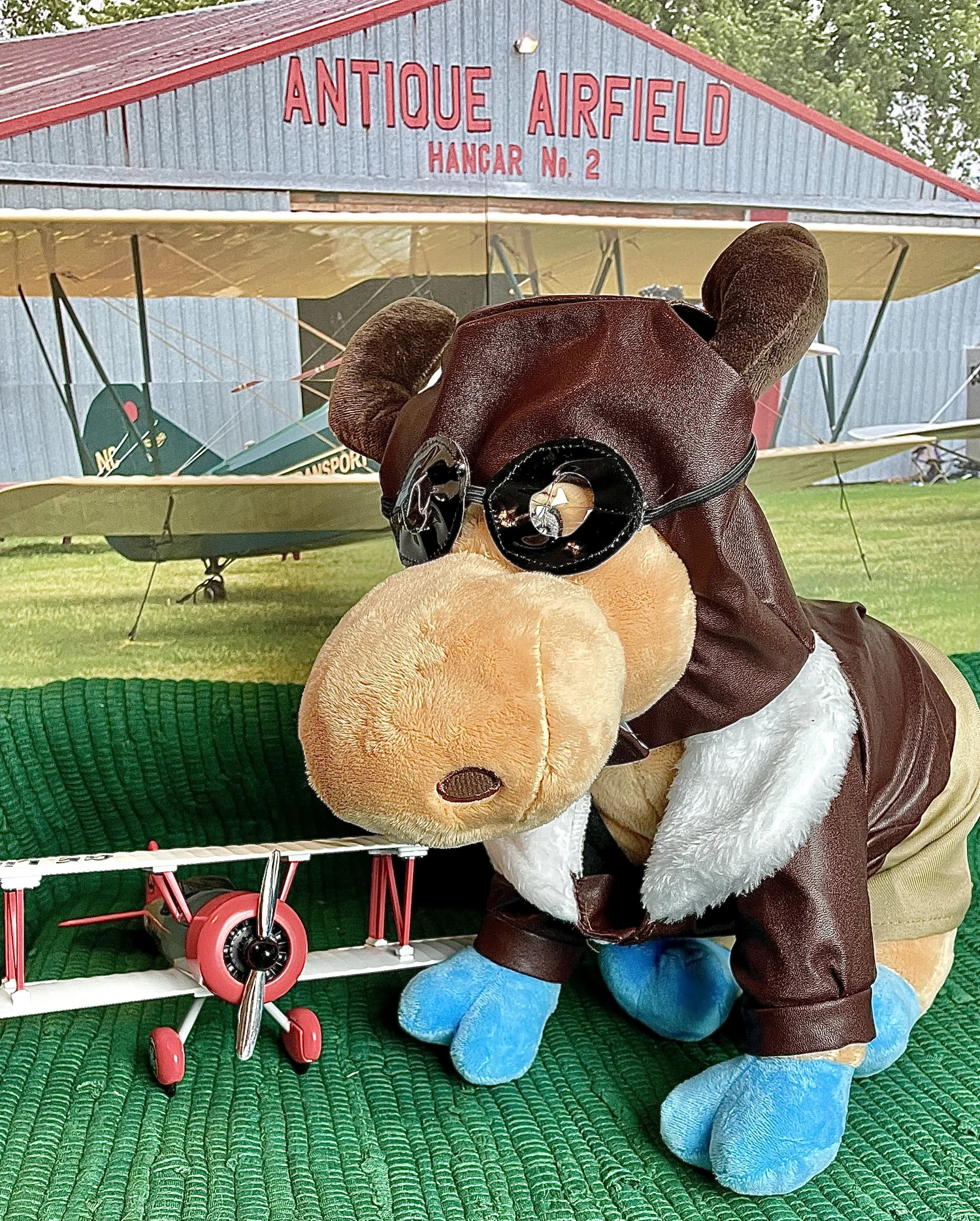 Marvelous Moosey: Plush & Book That Teach Kindness